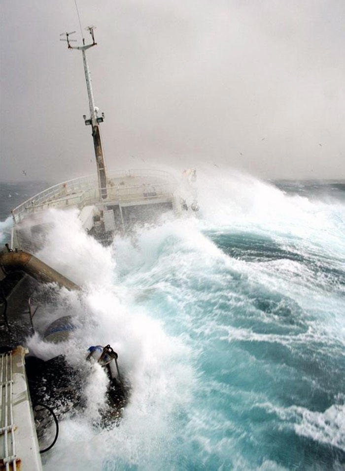 Sudden shiver down my spine: 49 pics to show why the fear of deep water ...