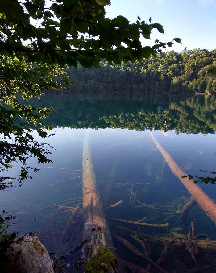 Sudden shiver down my spine: 49 pics to show why the fear of deep water ...