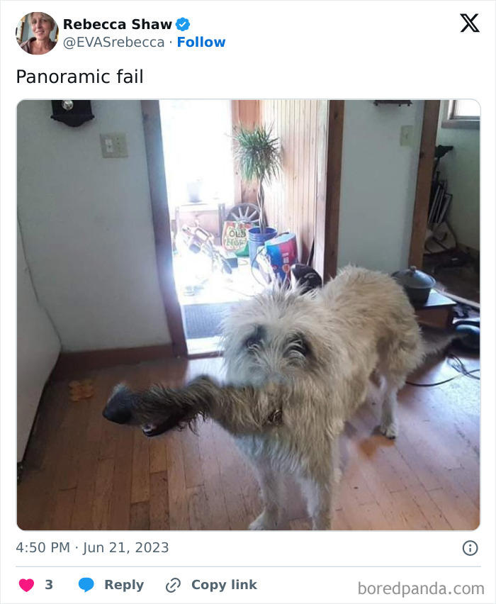 44 times people’s failed panoramic pics were actually masterpieces