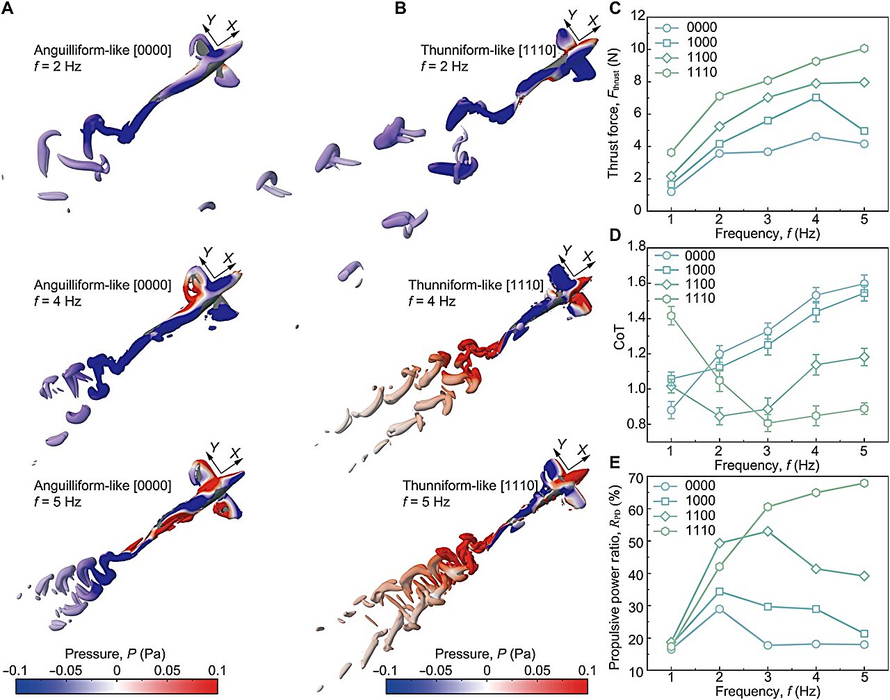 Reconfigurable robotic fish reveals how stiffness and wave propagation ...