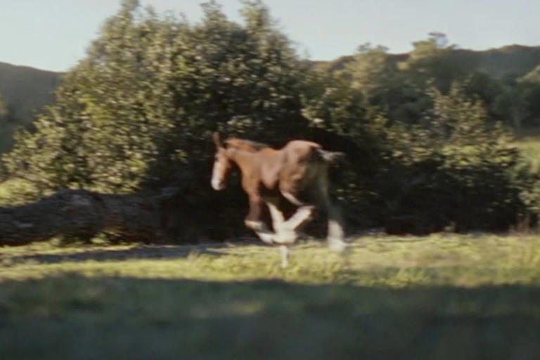 Budweiser brings back 'icons' for 2026 Super Bowl commercial
