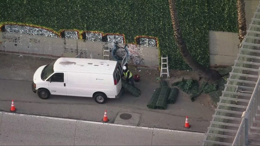 ‘Graffiti-proof’ ivy was installed along a busy LA freeway. It didn’t ...