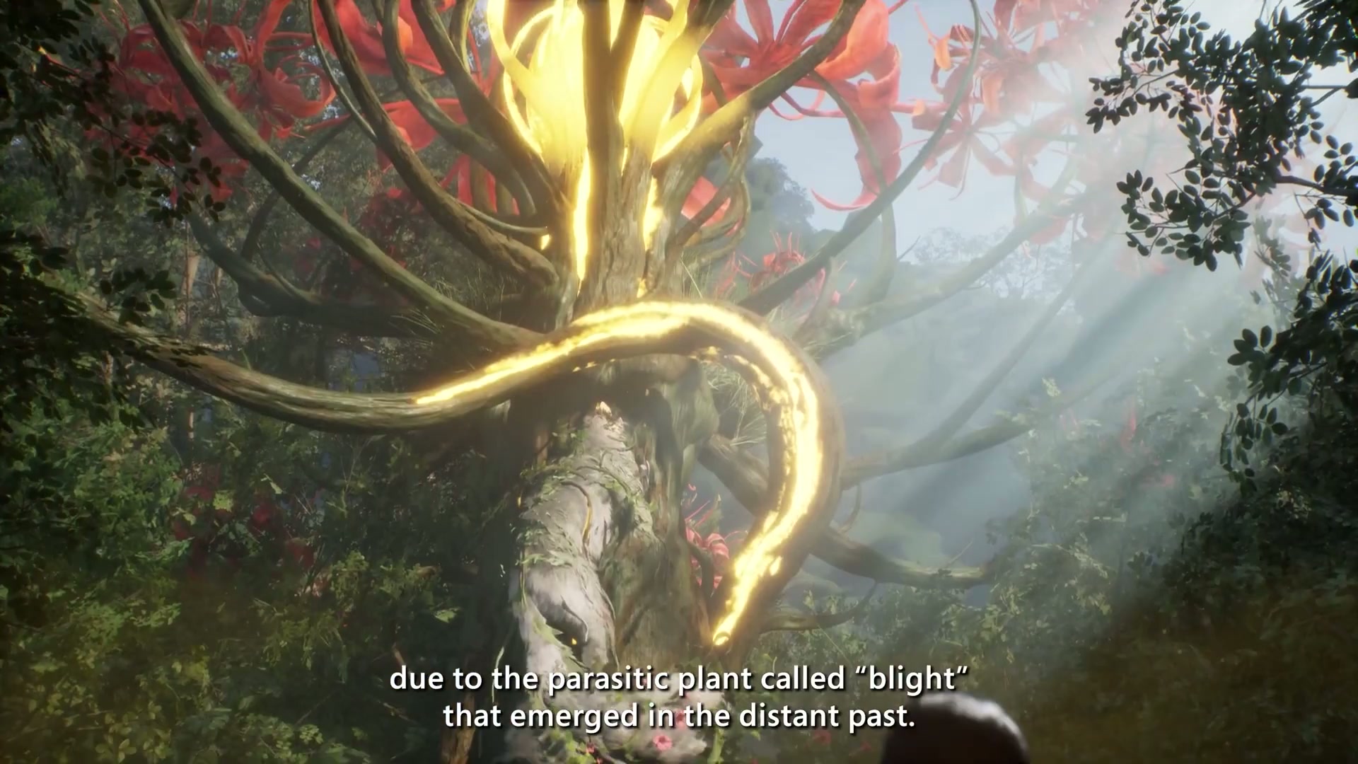 What Game Freak's new game could mean for Pokemon