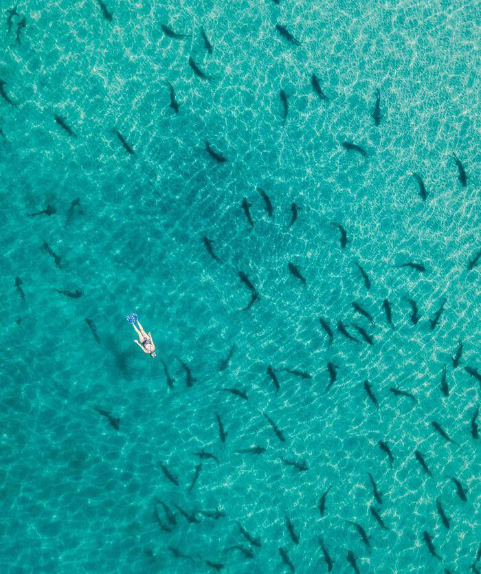 Sudden shiver down my spine: 49 pics to show why the fear of deep water ...