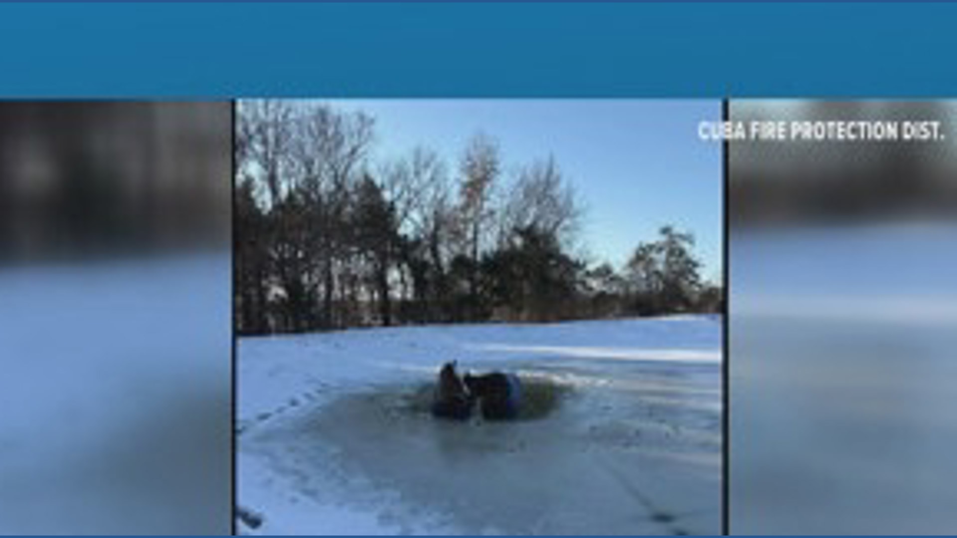 Firefighters rescue horses from icy pond in Cuba, Missouri
