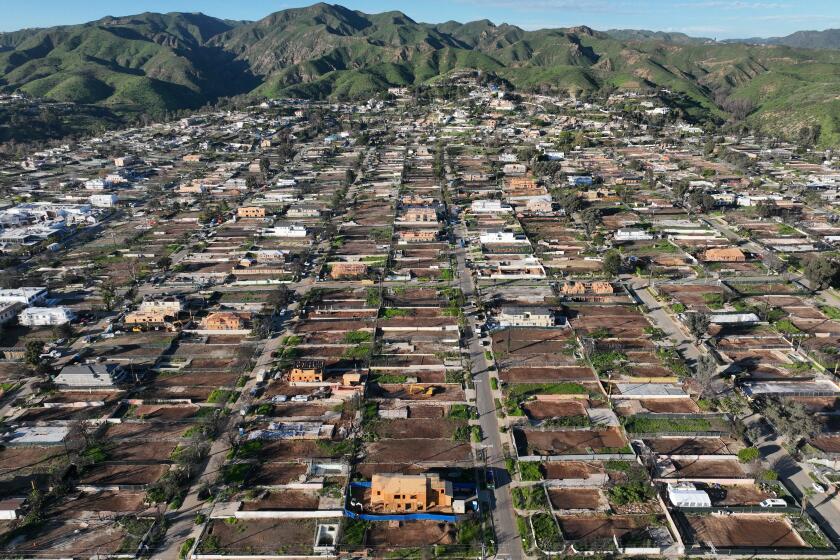 Trump signs executive order to 'preempt' permitting process for fire ...