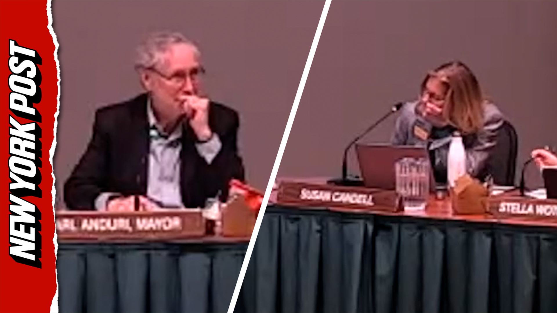 Woke council members in wealthy Bay Area enclave end public meeting in ...