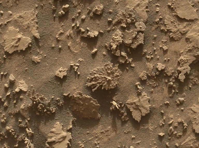 NASA’s Curiosity rover just found something on Mars that looks exactly ...