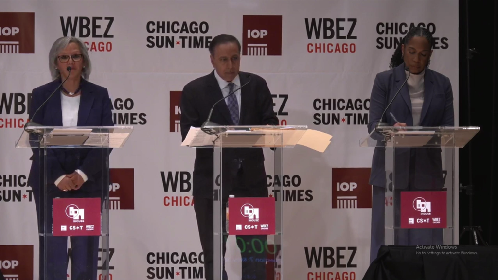 Federal immigration enforcement among hot topics at Illinois US Senate ...