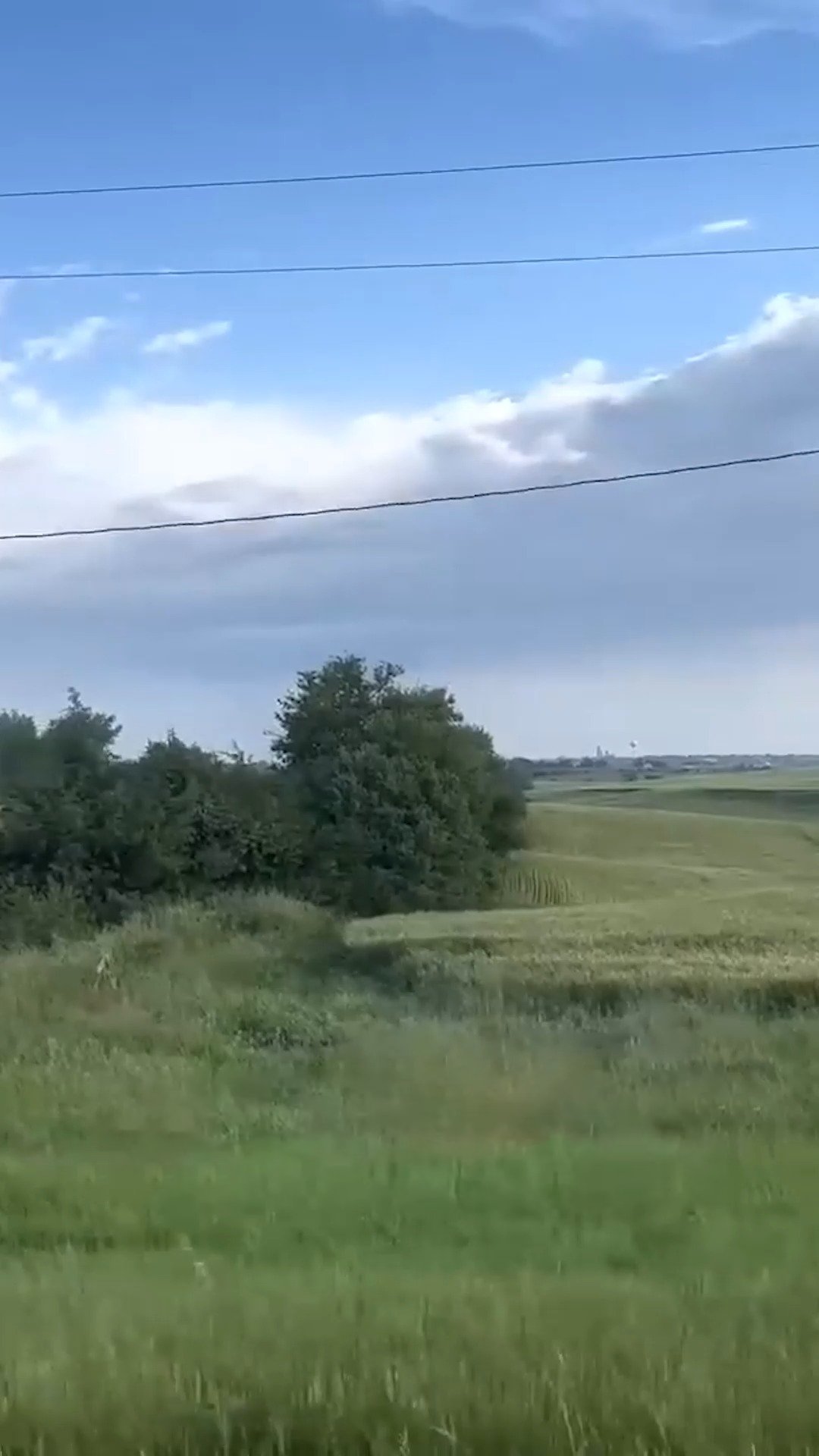 Loving life in the countryside