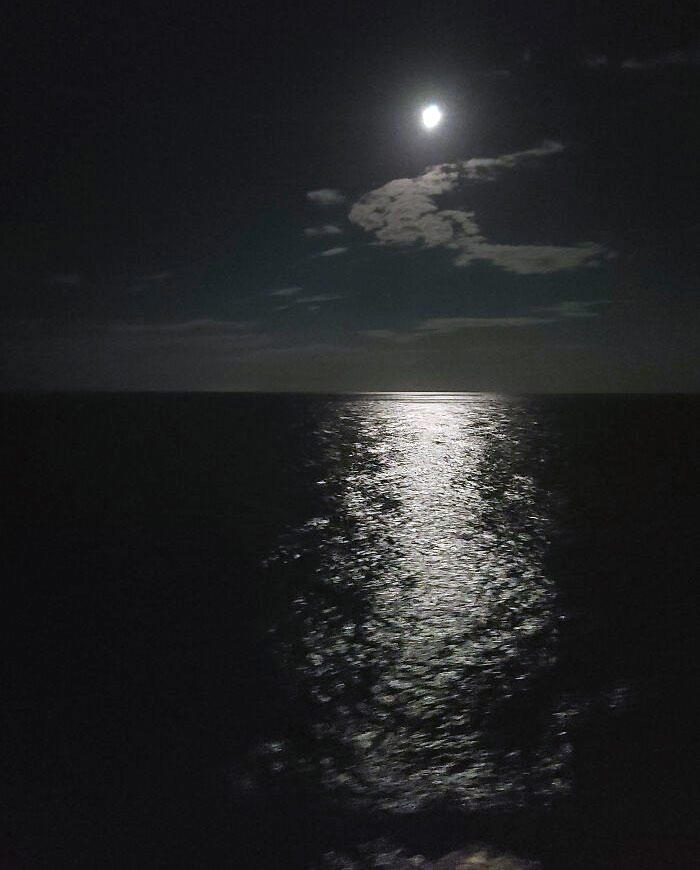 Sudden shiver down my spine: 49 pics to show why the fear of deep water ...