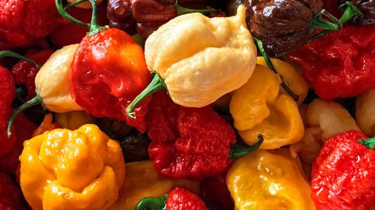 The 9 hottest peppers in the world, ranked by heat