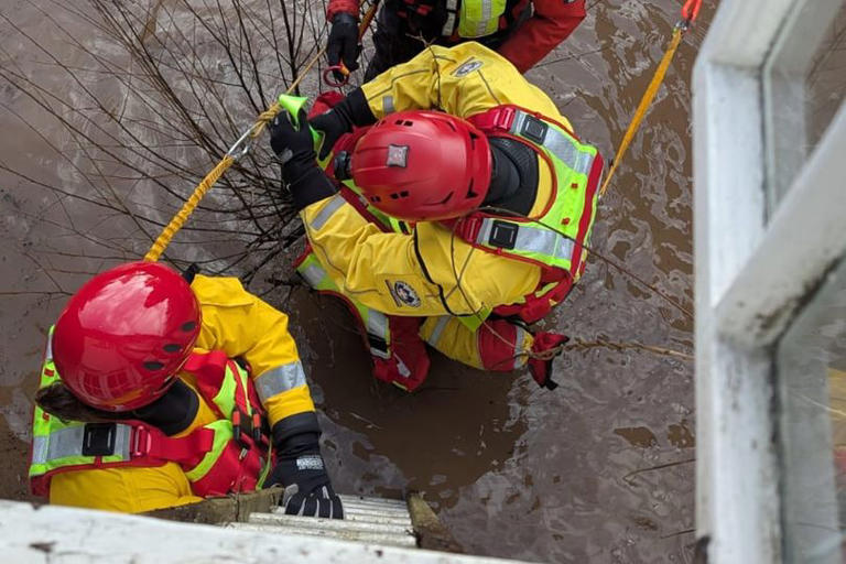 "It was horrendous": Man and dog's dramatic bedroom-window flood escape