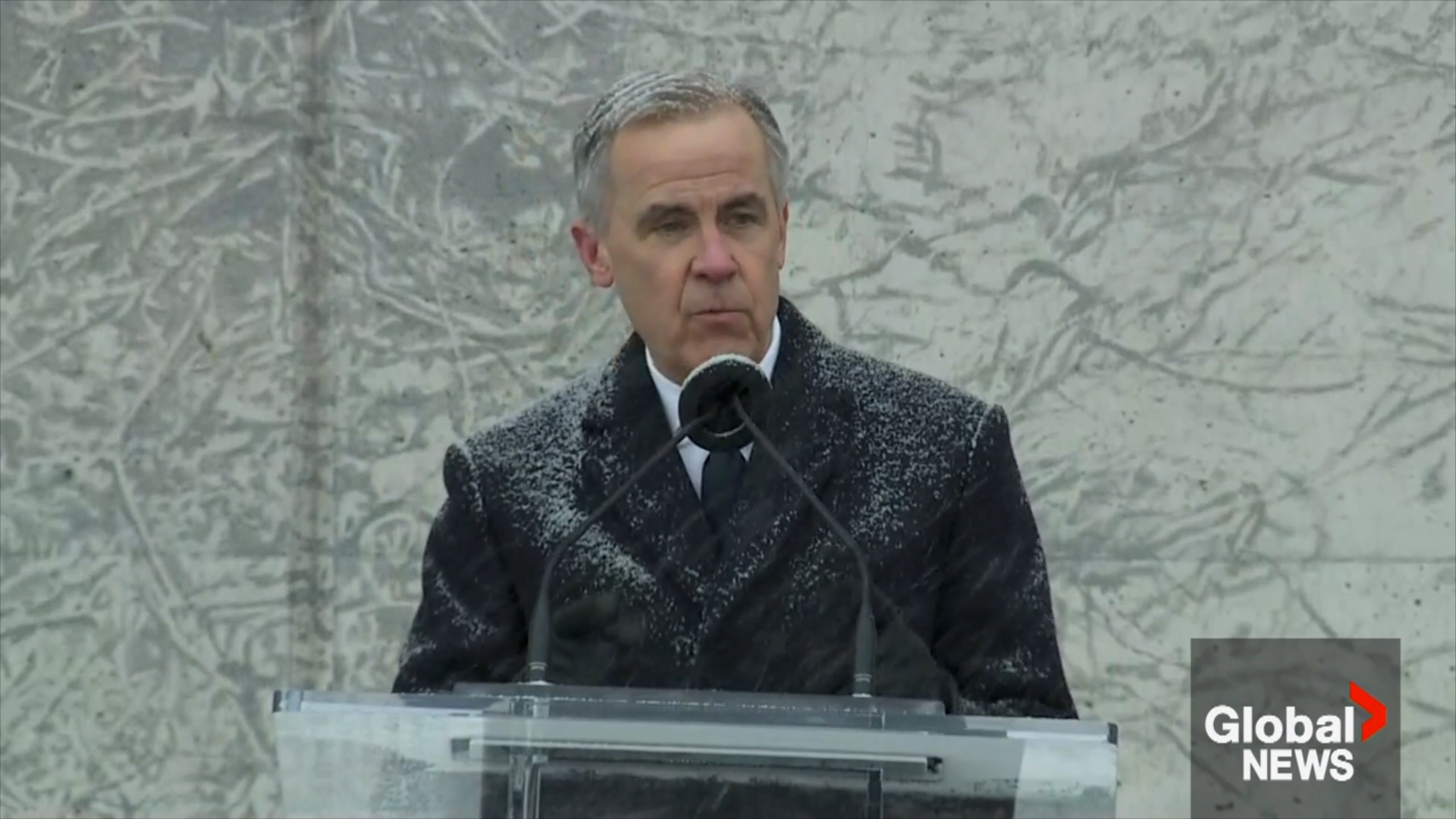 Carney says Canada stands 'with the Jewish community against hate ...