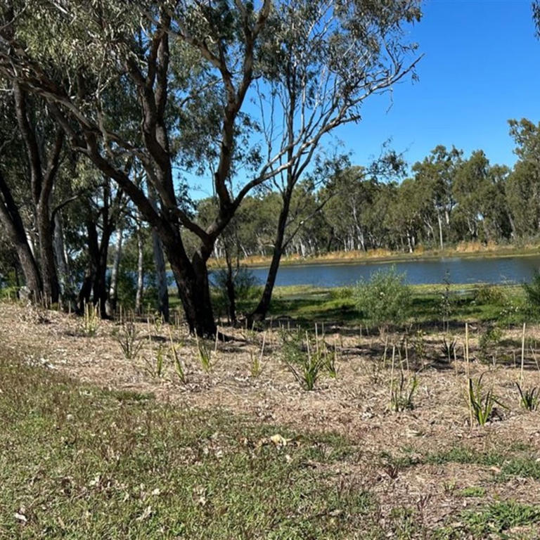 A normal run. A familiar track. And the fear women know too well.