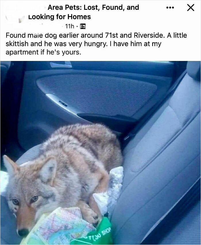 Oops that’s deadly: 46 clueless people who have everyone wondering how ...