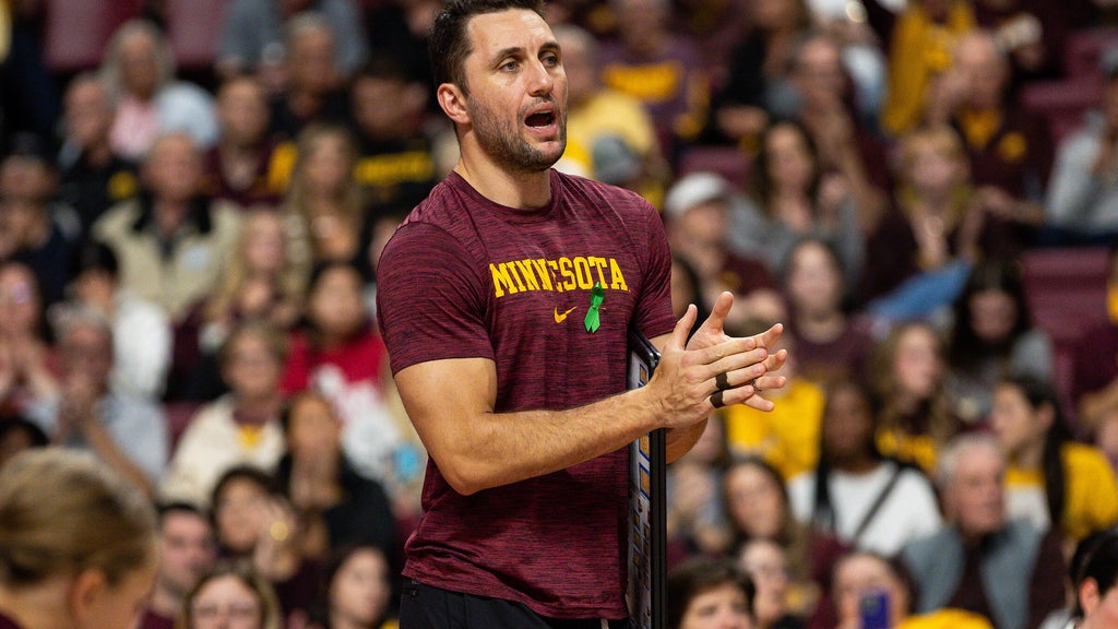 Minnesota's new Major League Volleyball team names Pedro Mendes as head ...