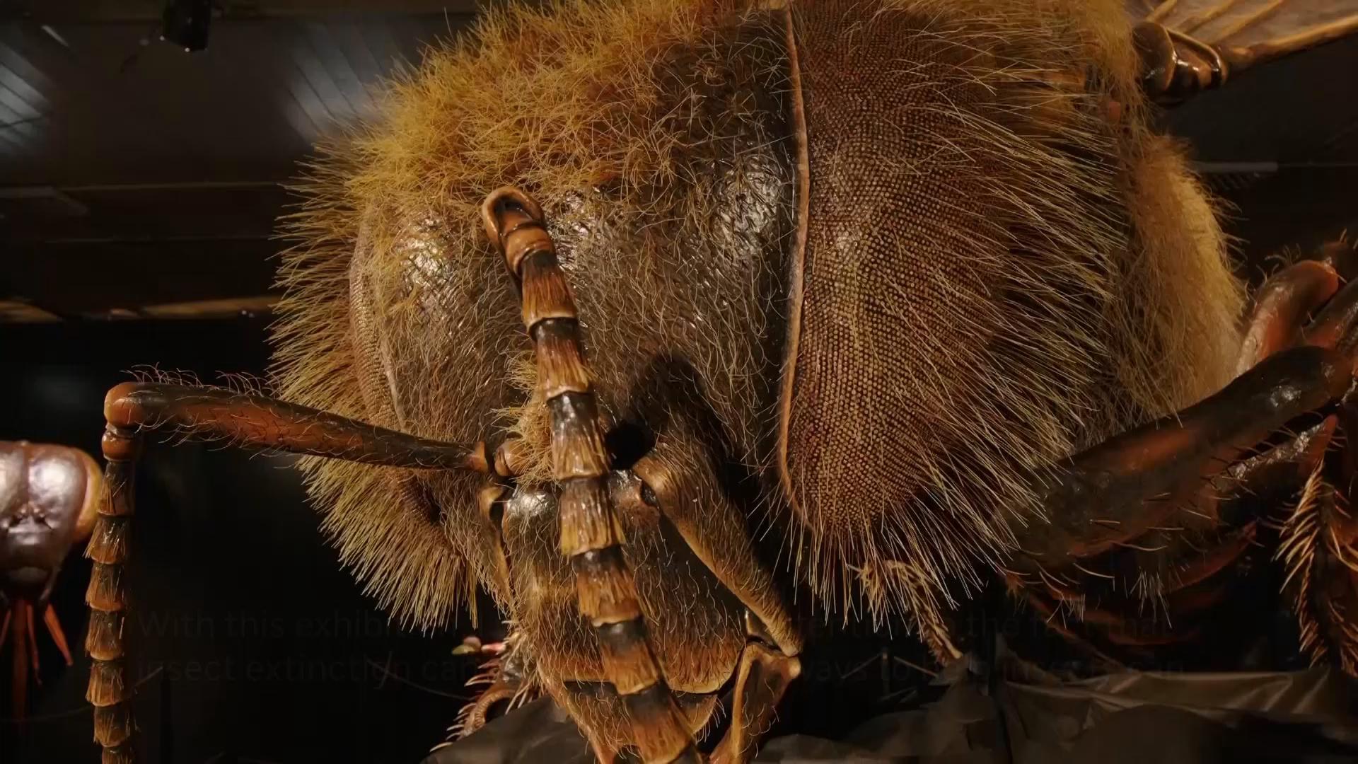 Czech Republic artist creates giant, detailed sculptures of insects