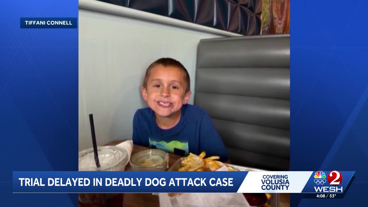 Trial delayed in deadly dog attack case that killed 8-year-old Michael ...