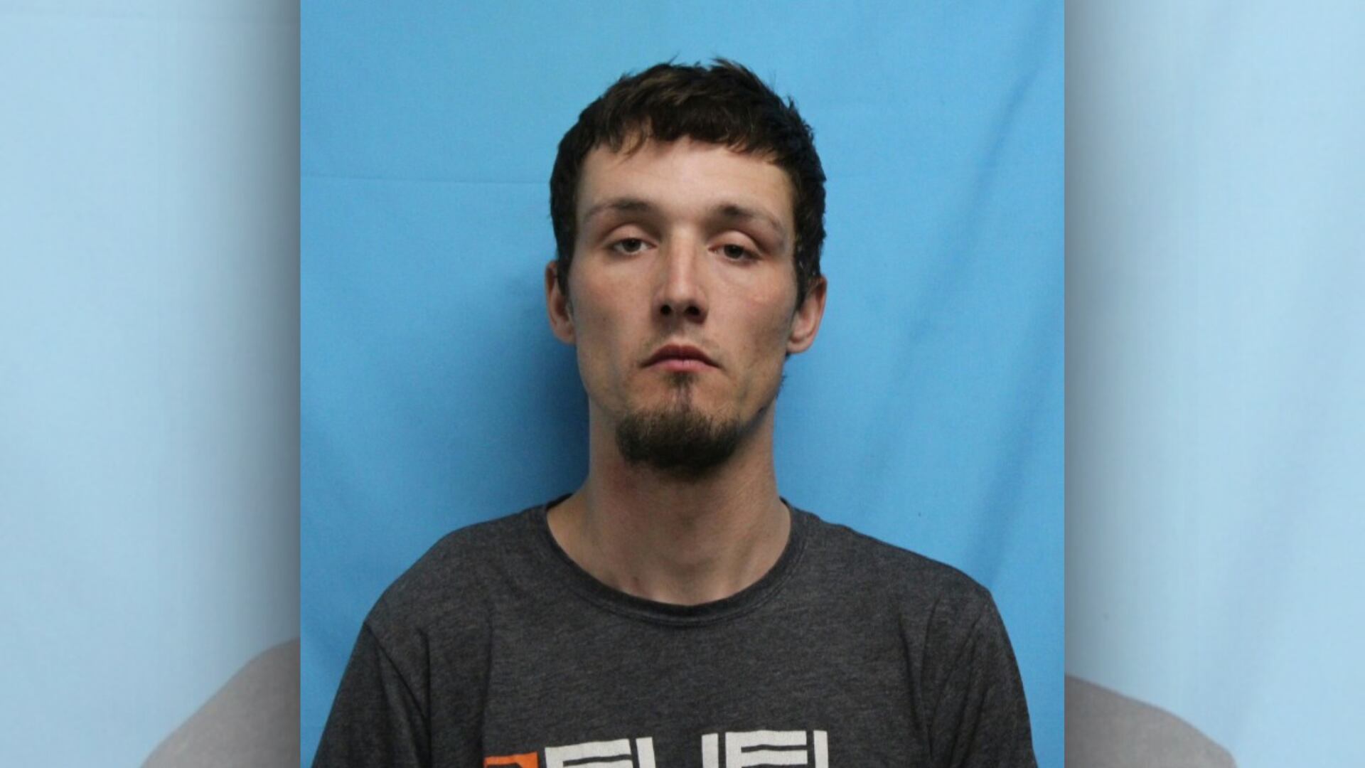 Belton man arrested after officers witness him slam dog into frozen ground