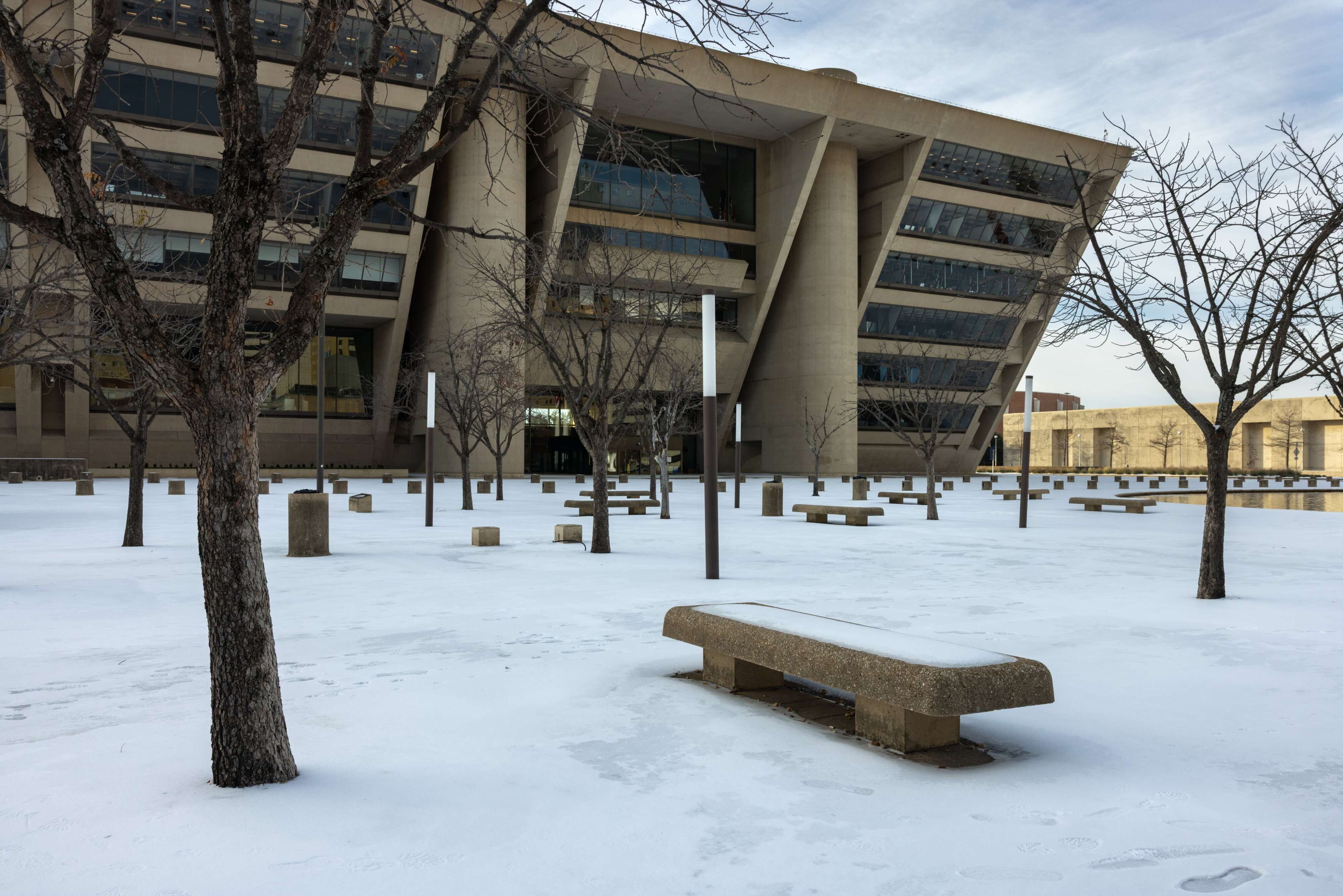 Dallas received hundreds of complaints about animals outside during ...