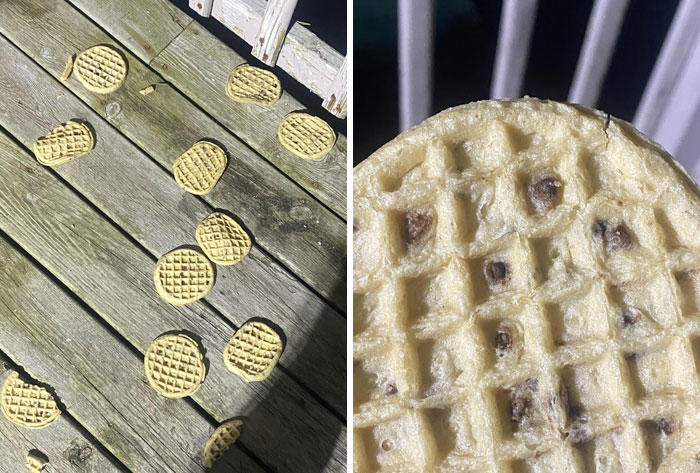 40 times clueless people surprised others with their stupidity (new pics)