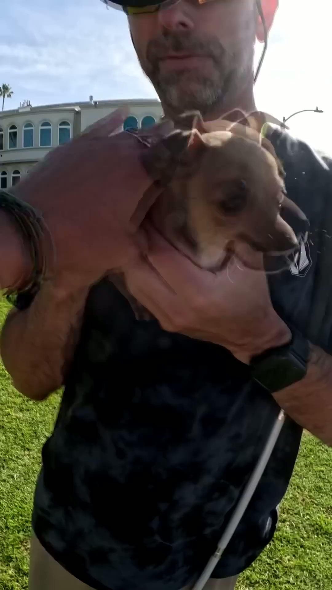 Did I just kiss a butt?