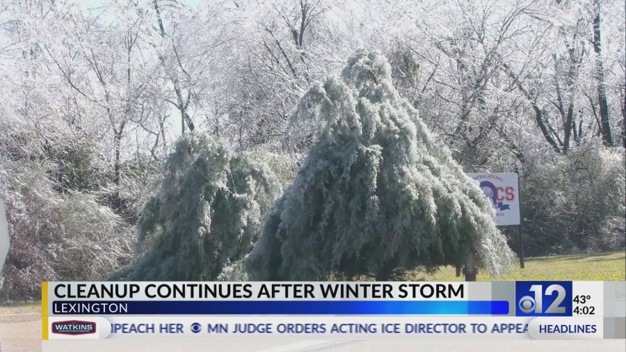 Cleanup efforts underway in Lexington after winter storm
