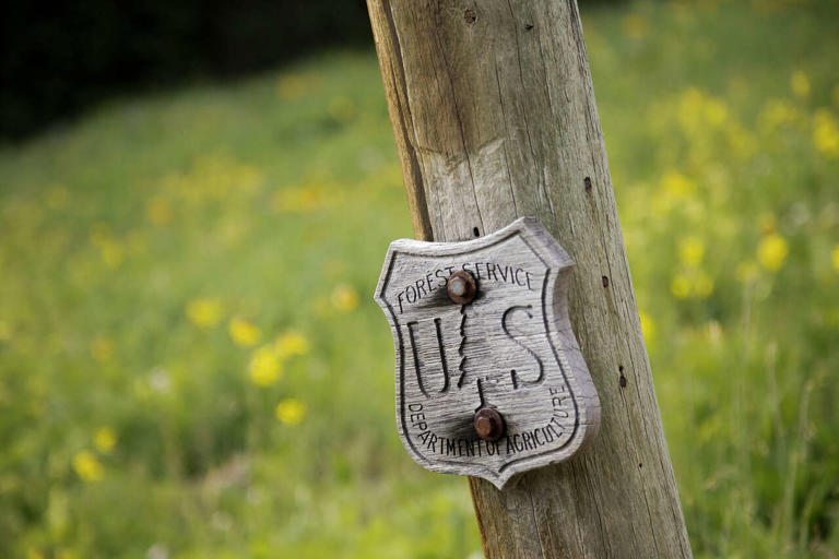 New federal rules streamline oil and gas leasing in national forests