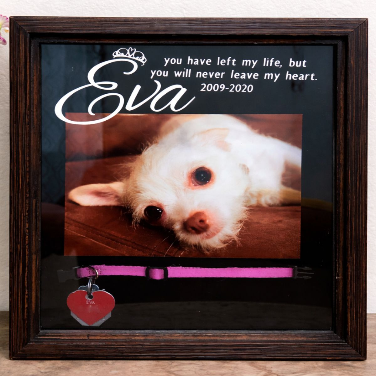 How to make a pet memorial shadow box