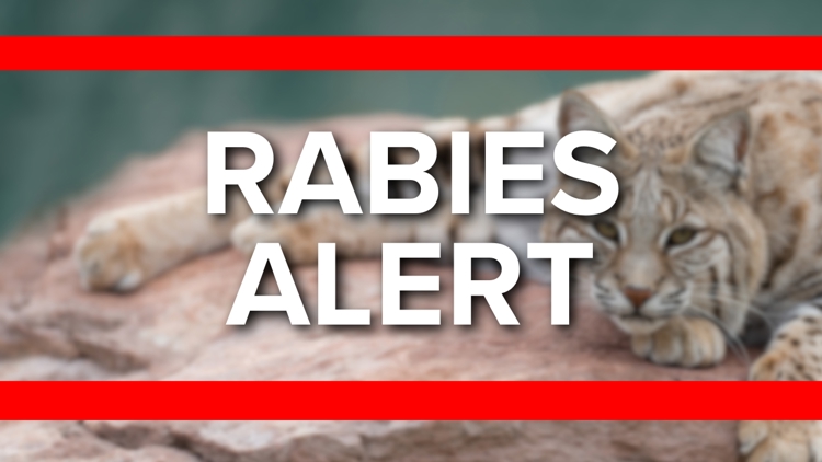 Rabies alert: Brantley County bobcat tests positive for virus