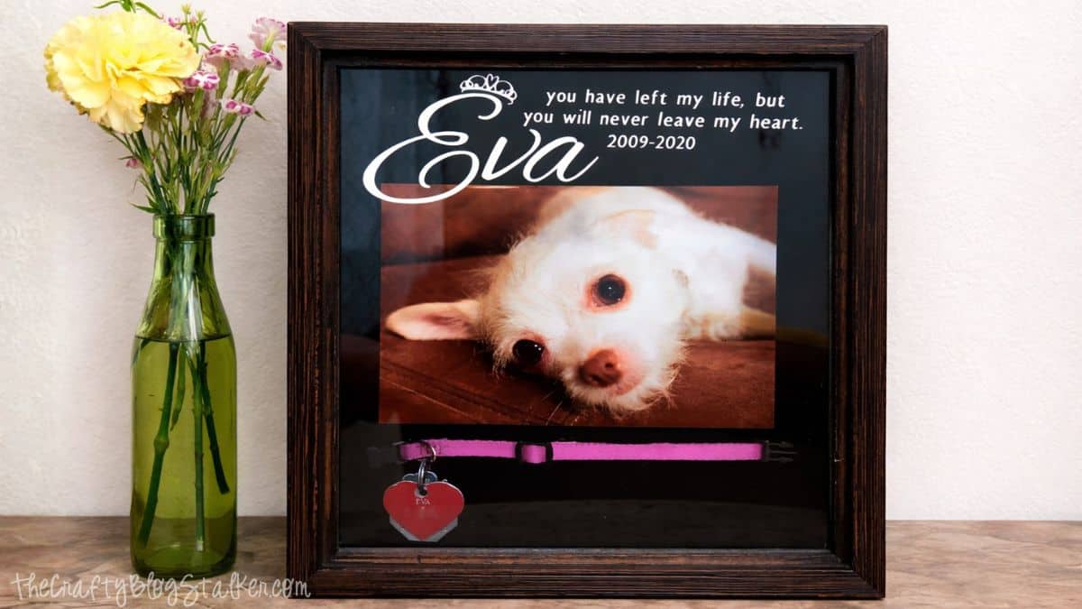 How to make a pet memorial shadow box