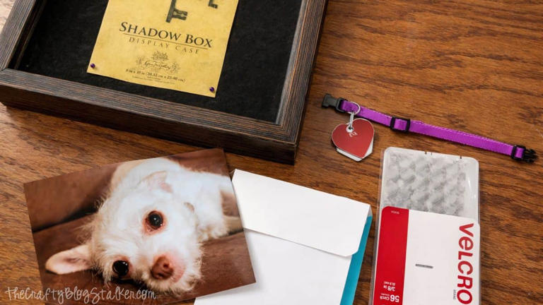 How to make a pet memorial shadow box