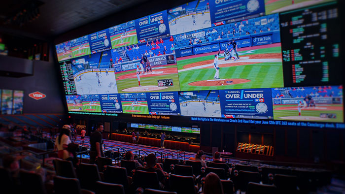 Out of bounds: The sports betting boom review: Gambling on every game