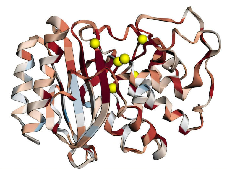 Protein 'dark energy' provides insight into form vs. function in structure