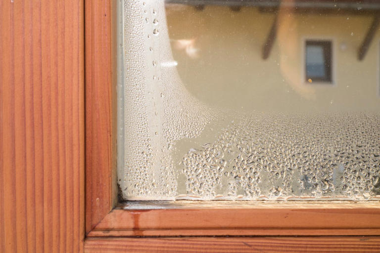 Experts warn these 6 subtle signs could mean your home is slowly ...