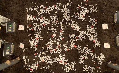 How ice needles create spontaneous zen gardens