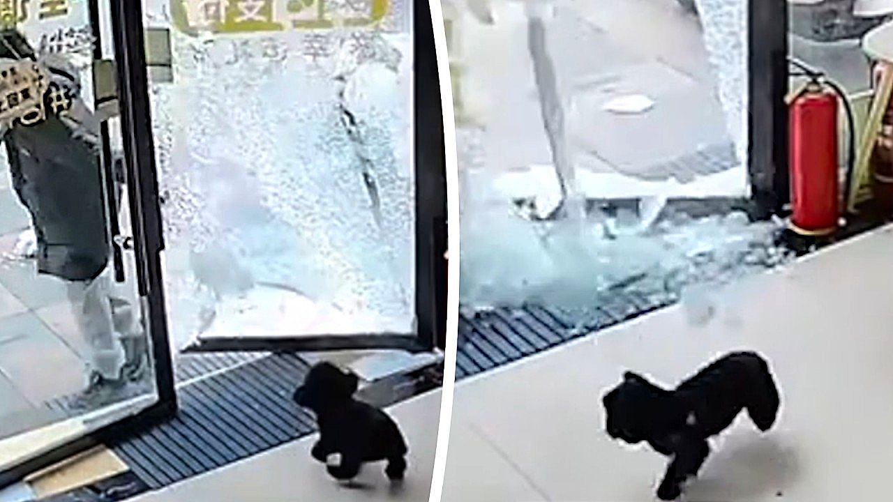 Security camera captures sudden glass explosion at shop entrance