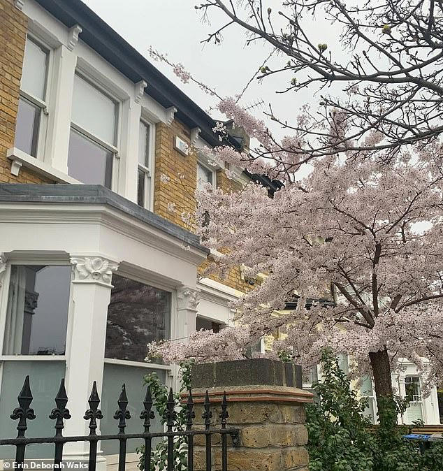 As London's named one of the world's best destinations, the Daily Mail ...