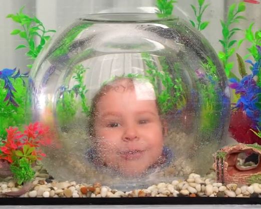 Transform your space with a hidden underwater oasis!