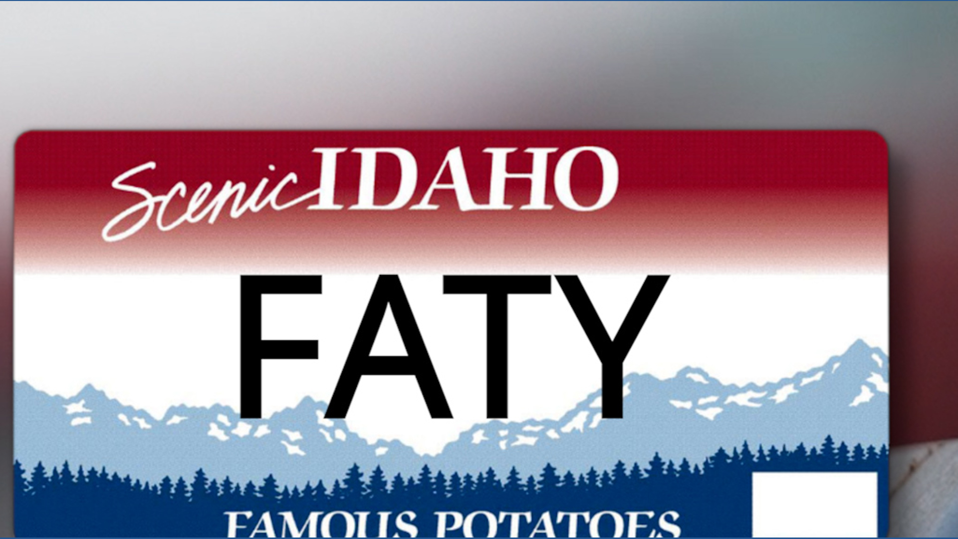 Idaho's rejected vanity plates: See the 2025 samples