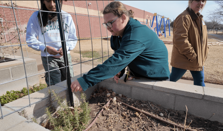 From soil to skills: Lubbock students learn through school garden