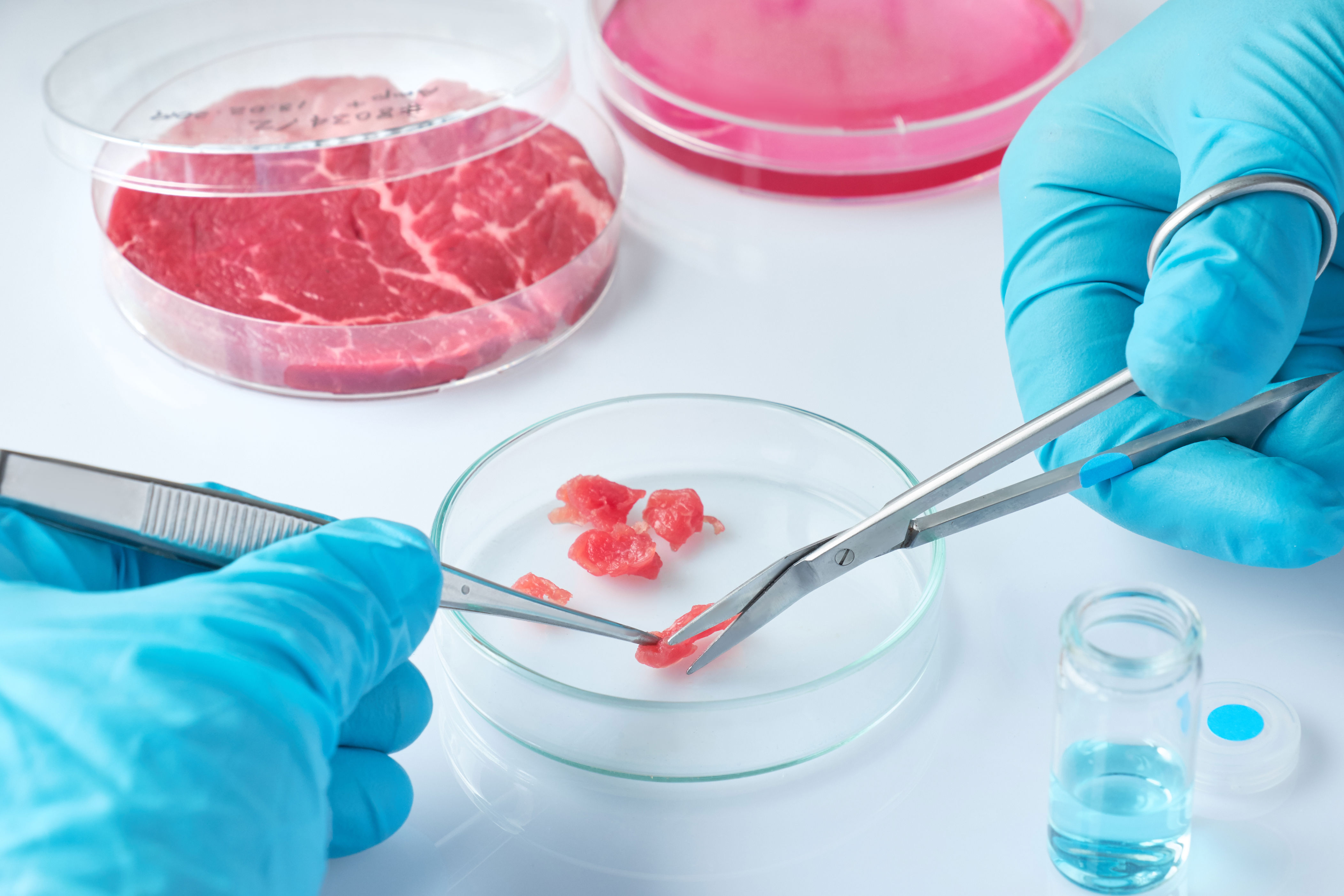 Missouri weighs ban on lab-grown meat products