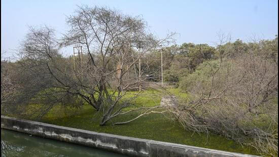 Missing drainage network creating crisis with treated water in Noida