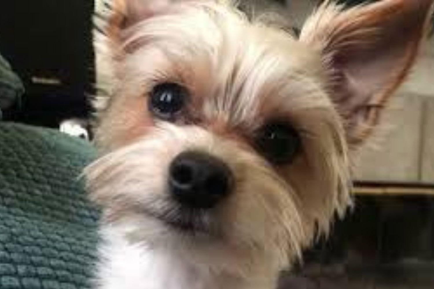 14-year-old arrested after social media challenge leads to the death of ...