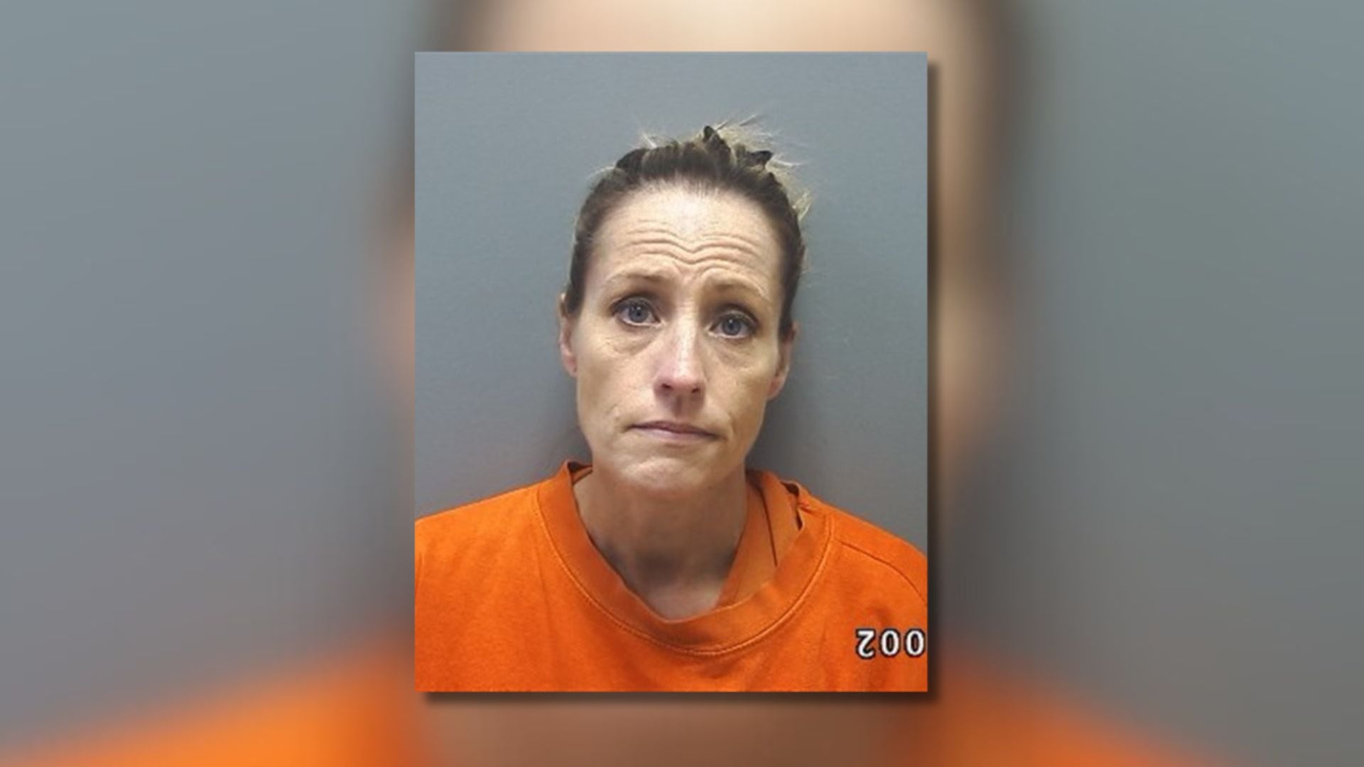 Assistant principal at Georgia elementary school accused of stealing ...