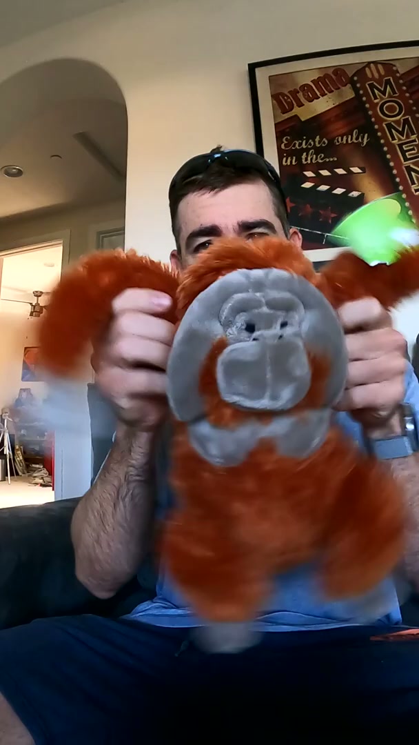 A seeing eye orangutan? #shorts