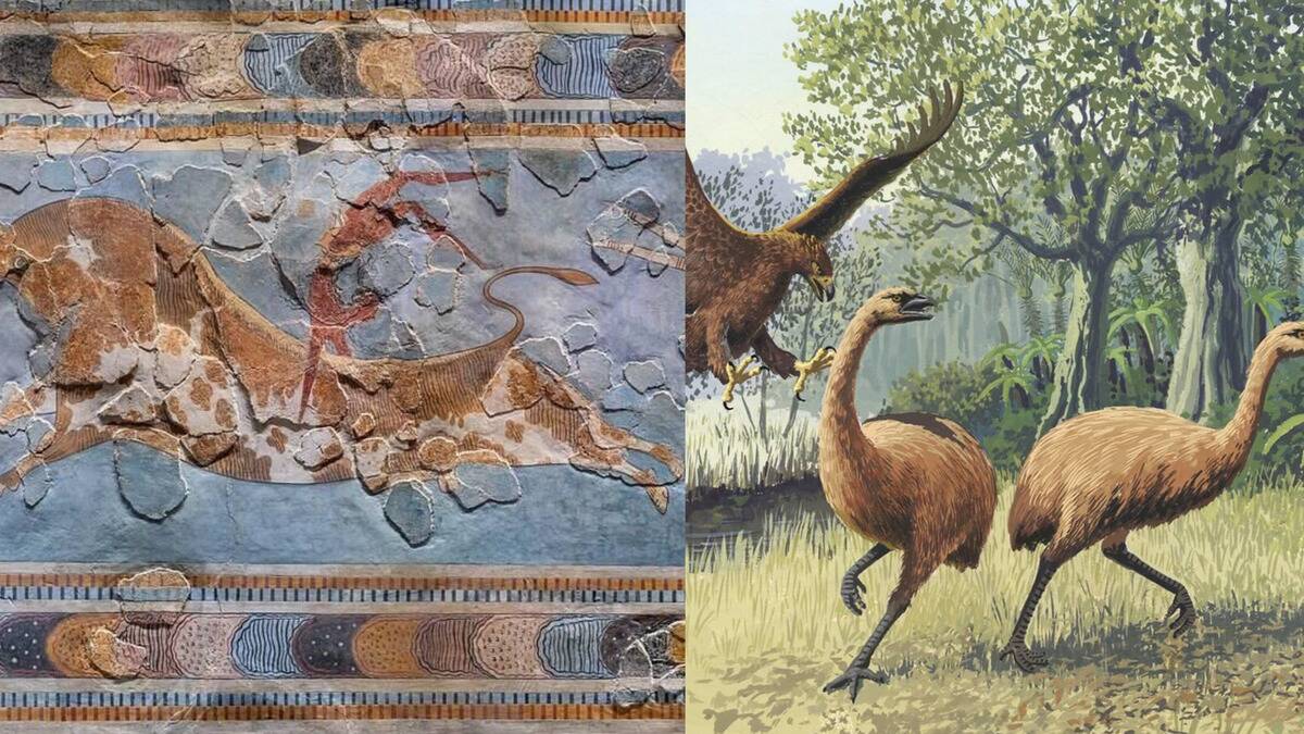 How misidentified animals inspired legendary creatures