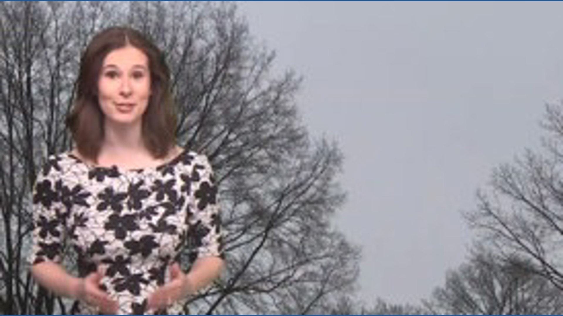 Do trees really explode in the cold?