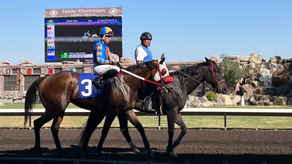 Horse racing advocates urge Big Fresno Fair Board to revive beloved ...